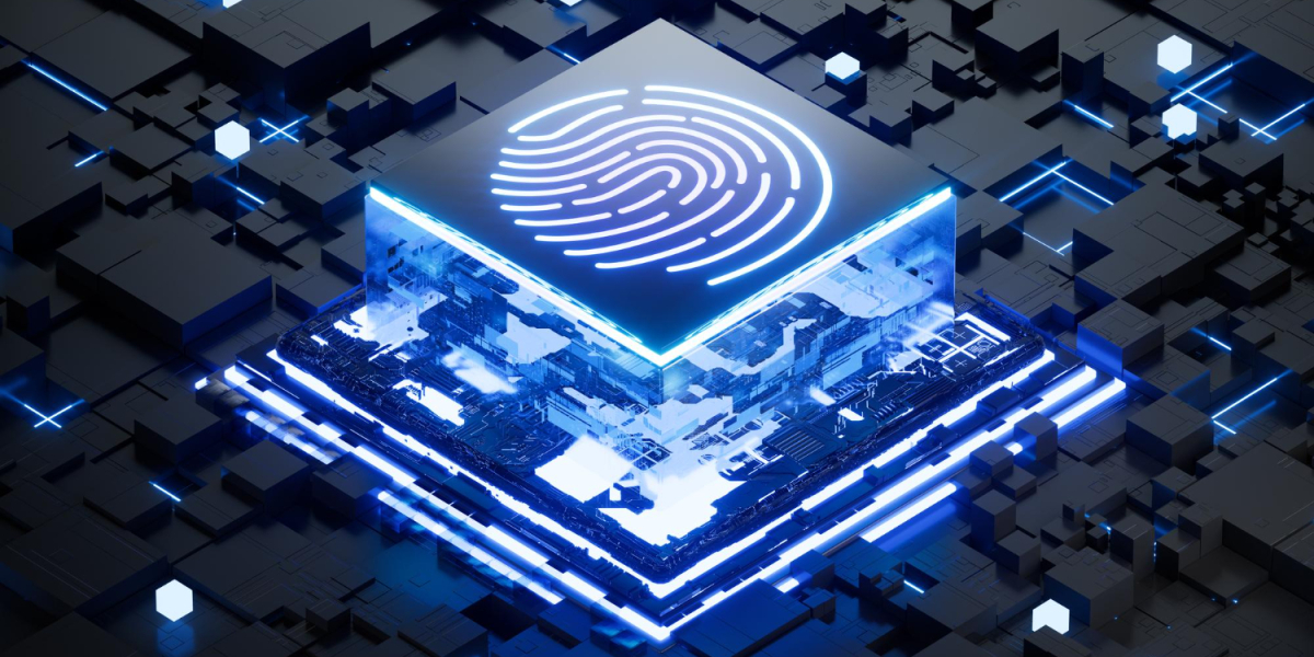 Understanding Digital Footprint Checkers